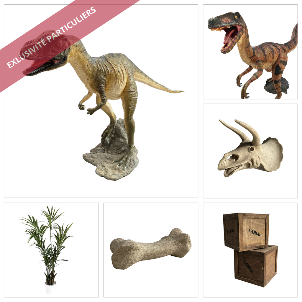 Sweetpack Dinosaure -Libérateur d'idées, Location décors événementiels ...